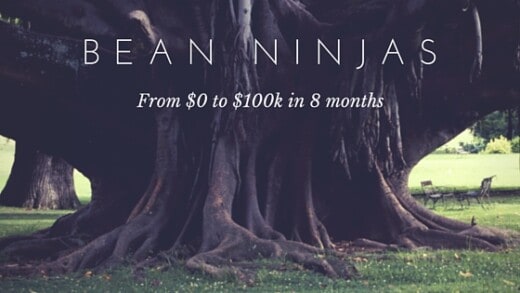 Business Growth Story: Bean Ninjas – from 0 to $100k in 8 months